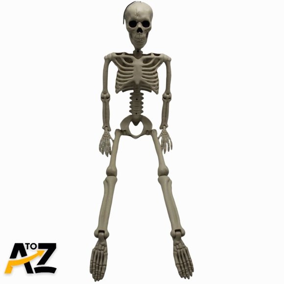 Holiday | 3ft Life Size Poseable Skeleton Human Bones Props Halloween ...